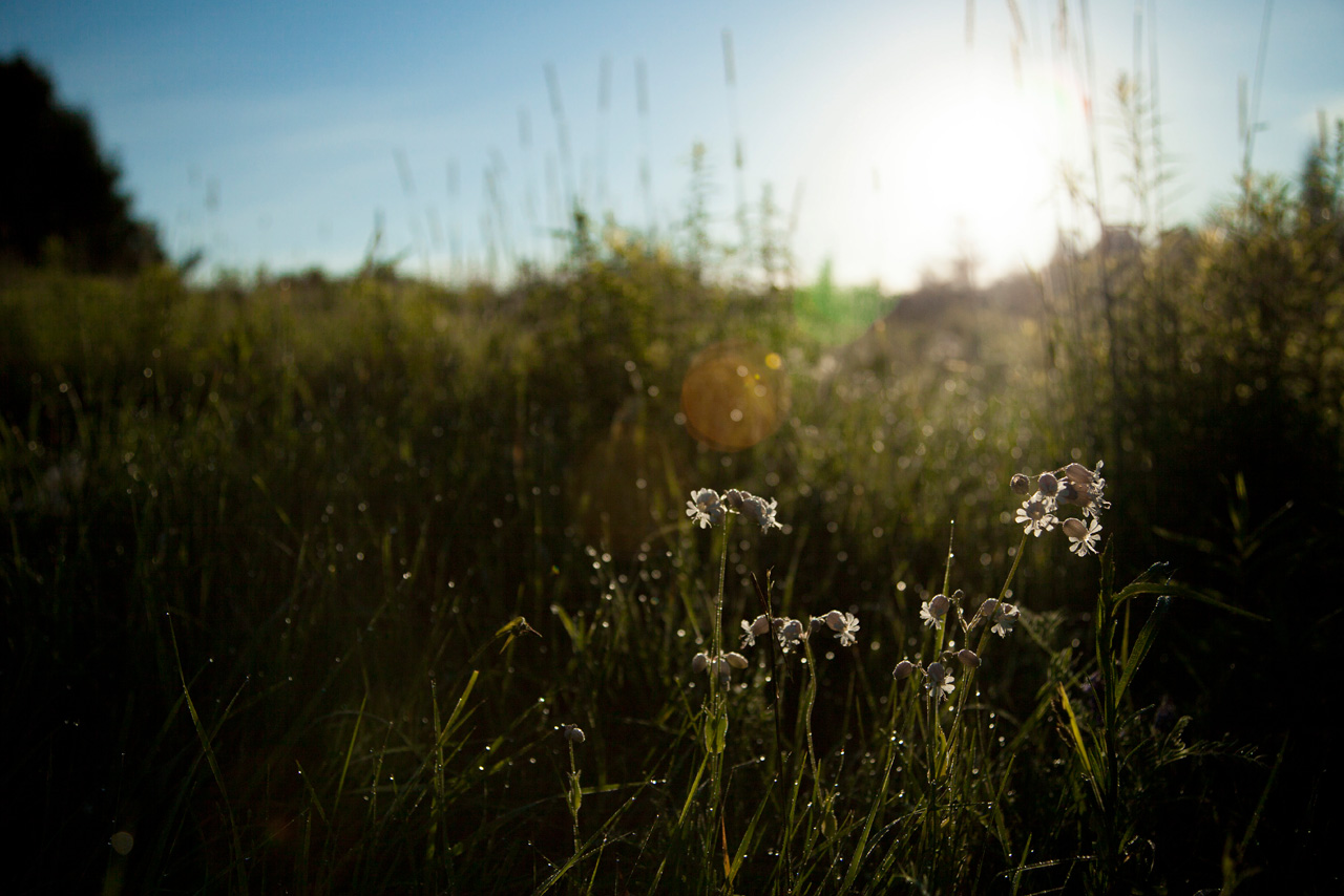 Beautiful, Untranslatable Words – Ailsa Ross — Author + editor